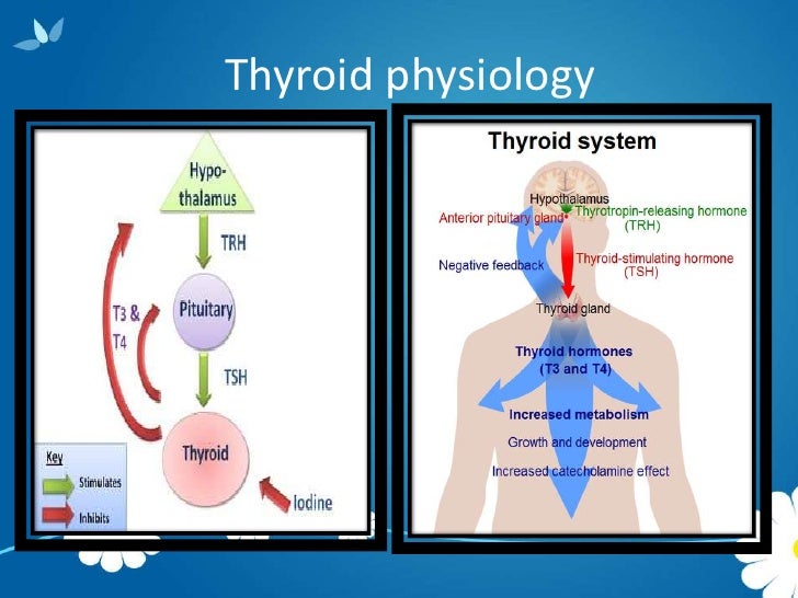 Thyroid mass