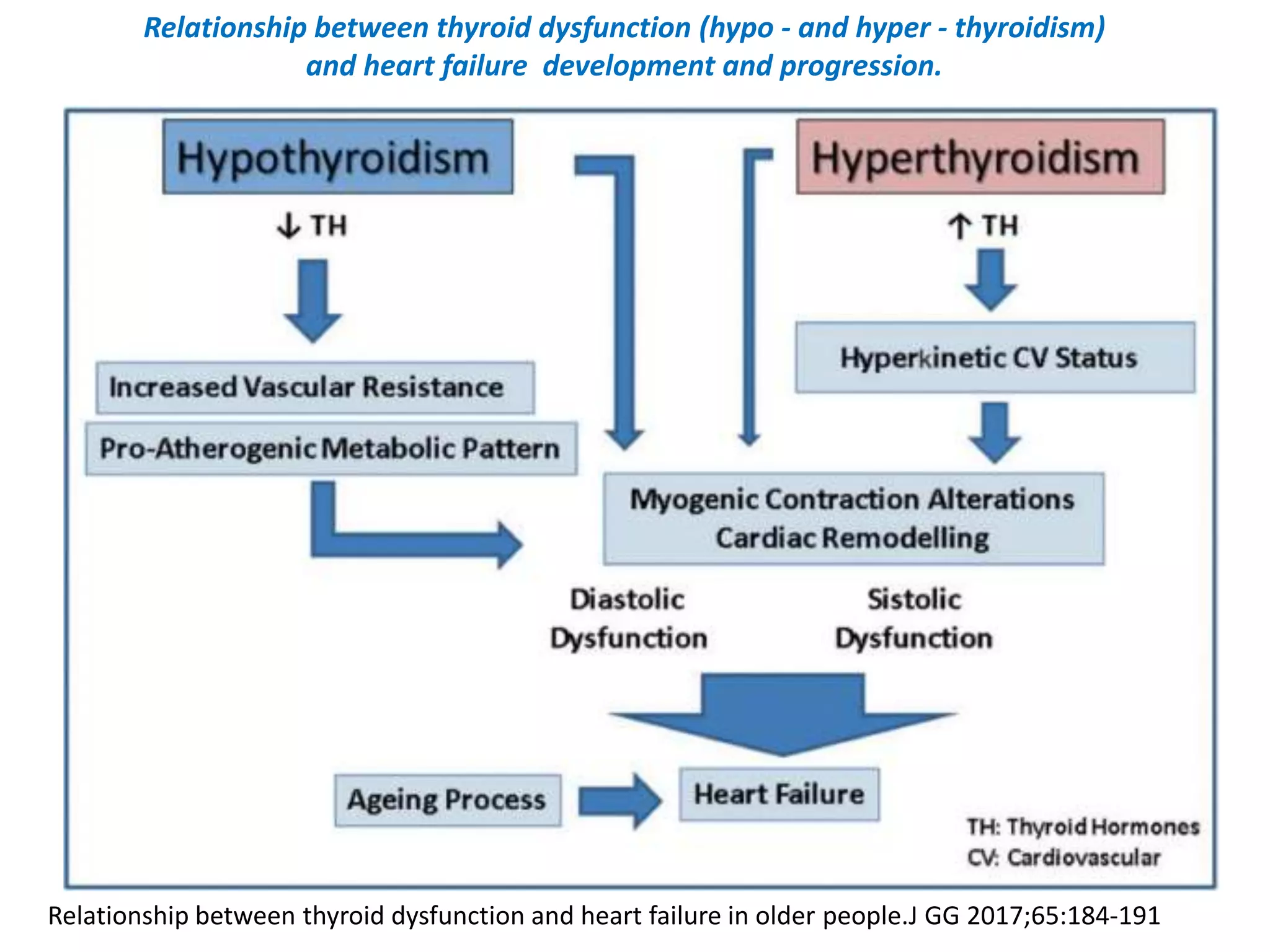 Thyroid Hormones and Cardiovascular Function and Diseases | PPTX