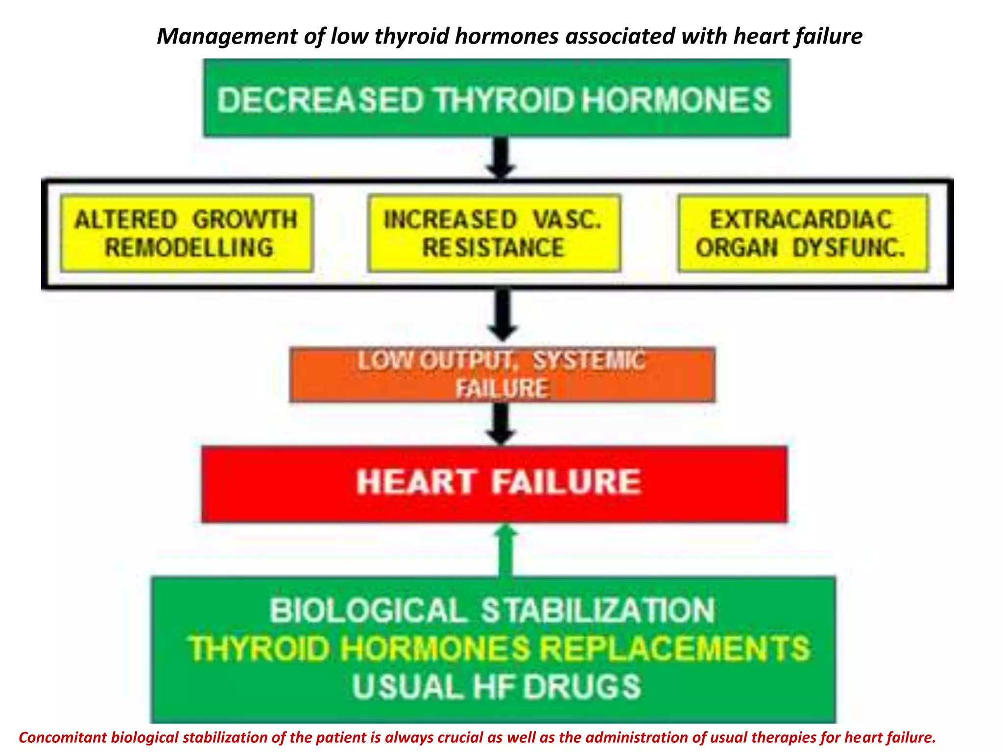 Thyroid Hormones and Cardiovascular Function and Diseases | PPTX