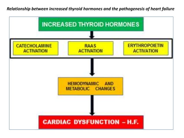 Thyroid Hormones and Cardiovascular Function and Diseases | PPTX