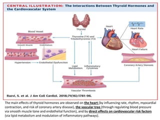 Thyroid Hormones and Cardiovascular Function and Diseases | PPTX
