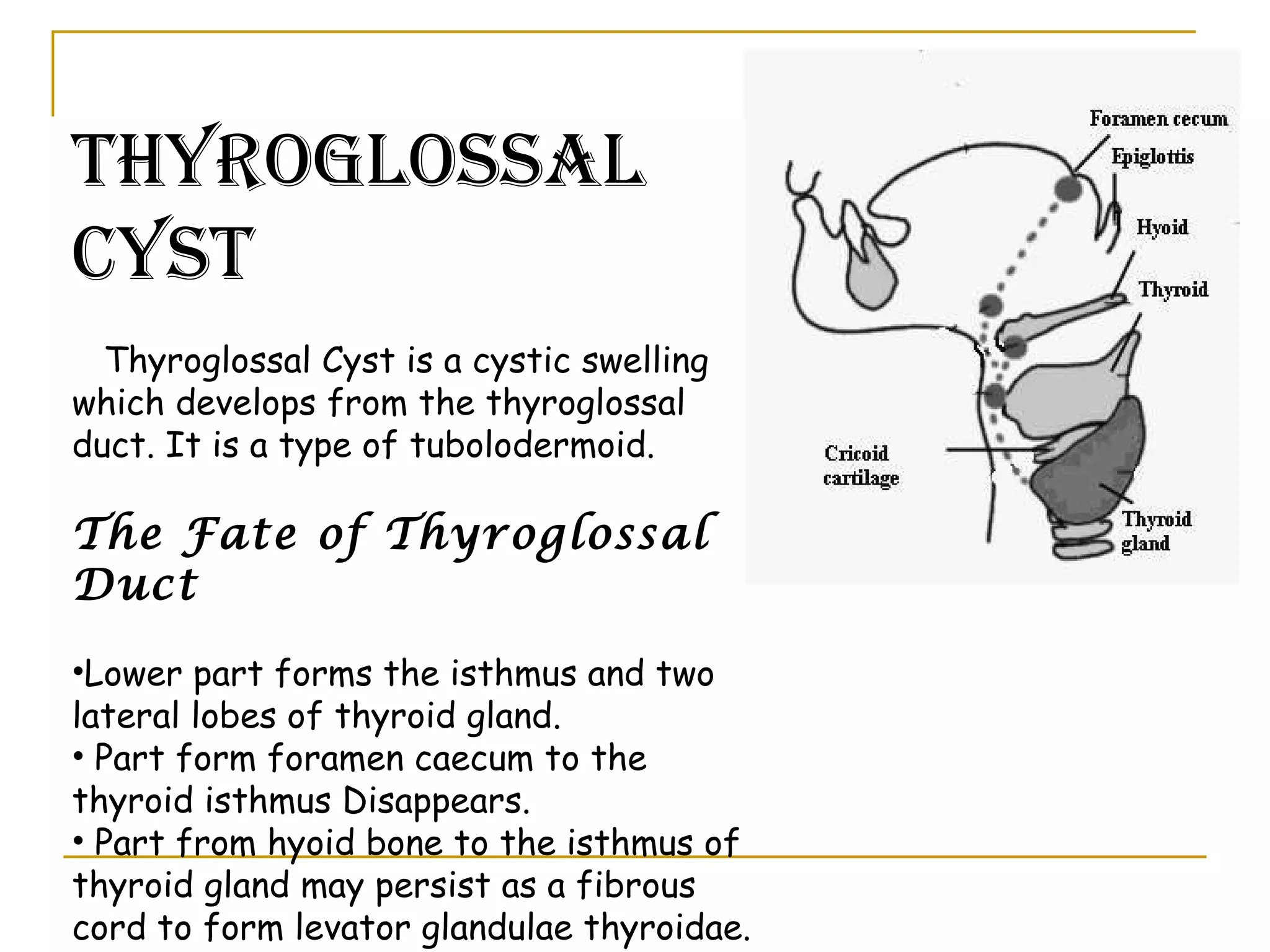 Thyroglossalcyst | PPT