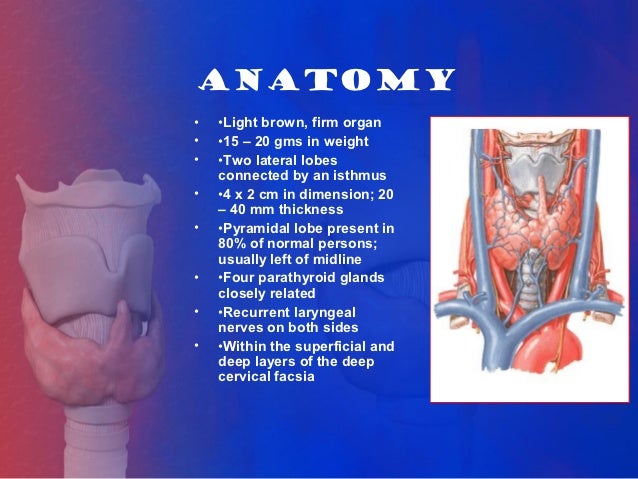 Thyroid surgery and neoplasms of thyroid