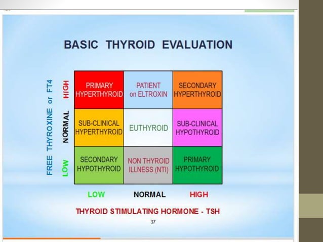 HYPOTHYROID | PPTX | Thyroid Disorders | Endocrine and Metabolic Diseases