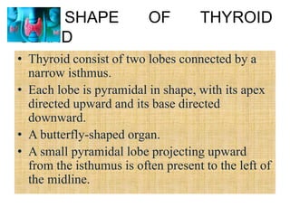 Thyroid | PPTX