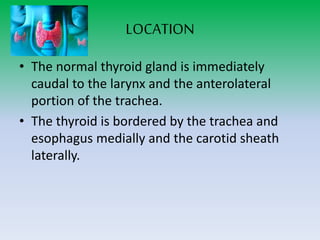 Thyroid | PPTX