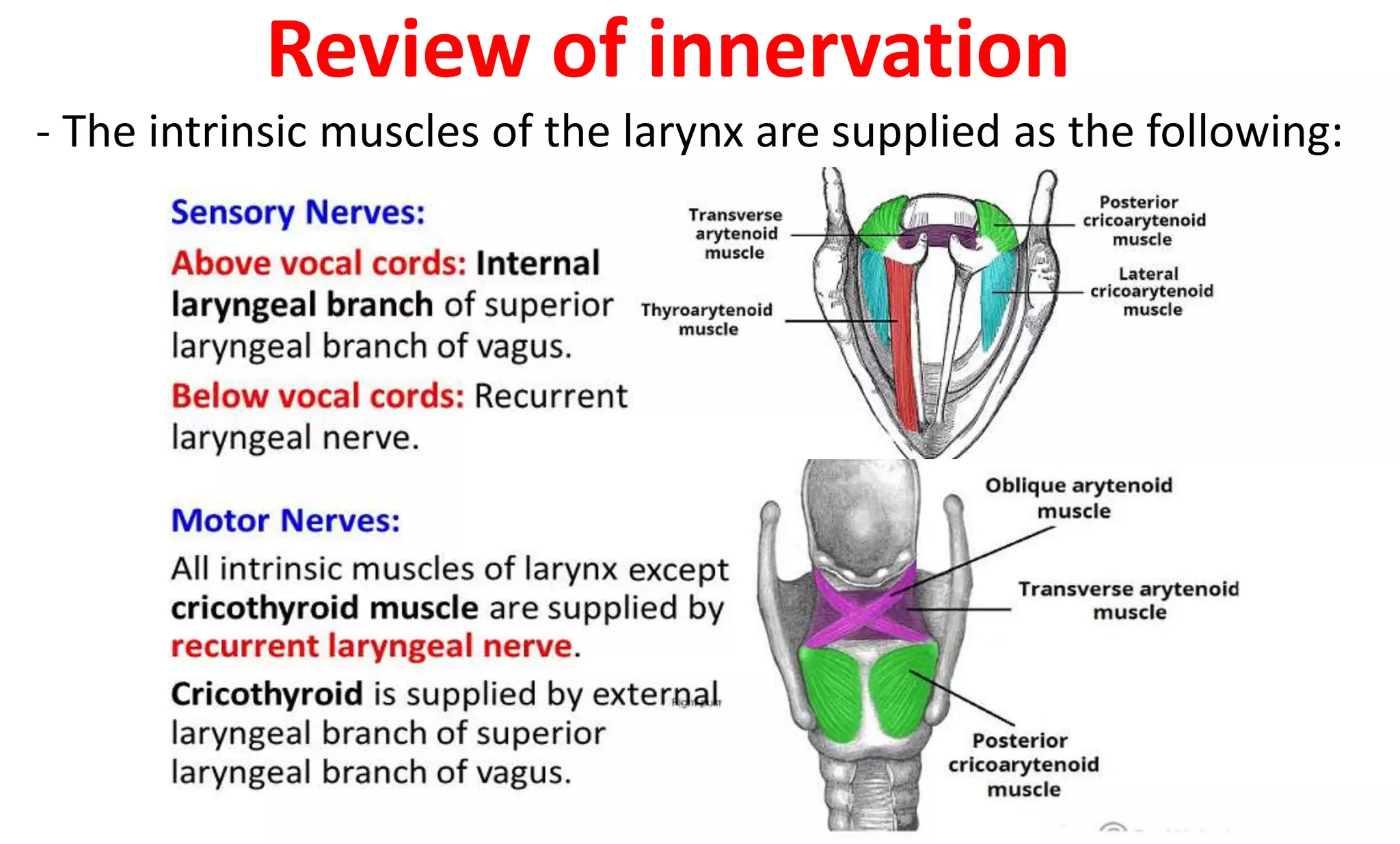 Thyroid History and Physical Examination | PPTX