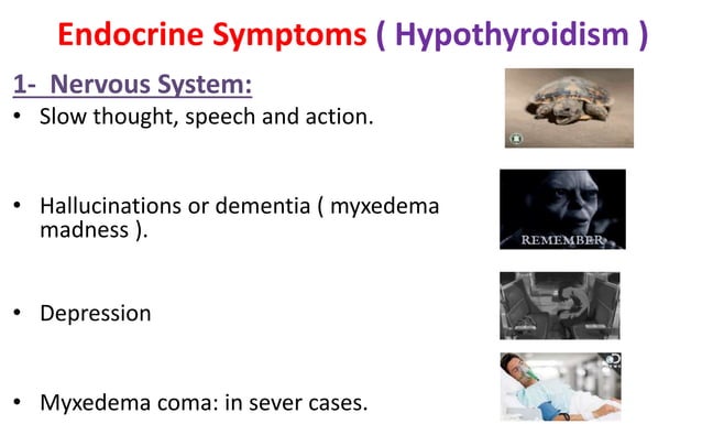 Thyroid History and Physical Examination | PPTX | Thyroid Disorders ...