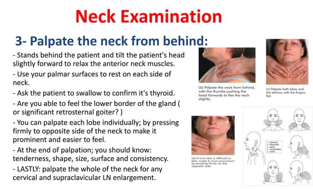 Thyroid History and Physical Examination | PPTX | Thyroid Disorders ...