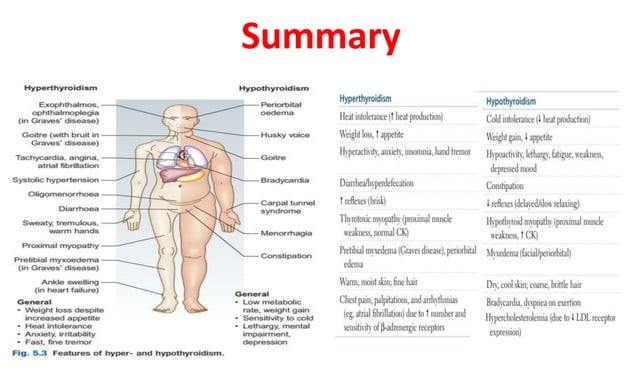 Thyroid History and Physical Examination | PPTX | Thyroid Disorders | Endocrine and Metabolic ...