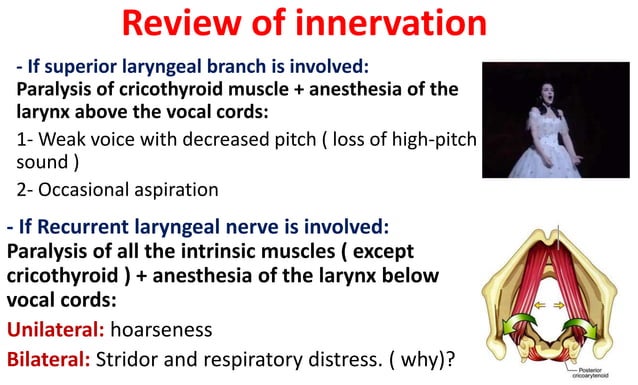Thyroid History and Physical Examination | PPTX | Thyroid Disorders ...