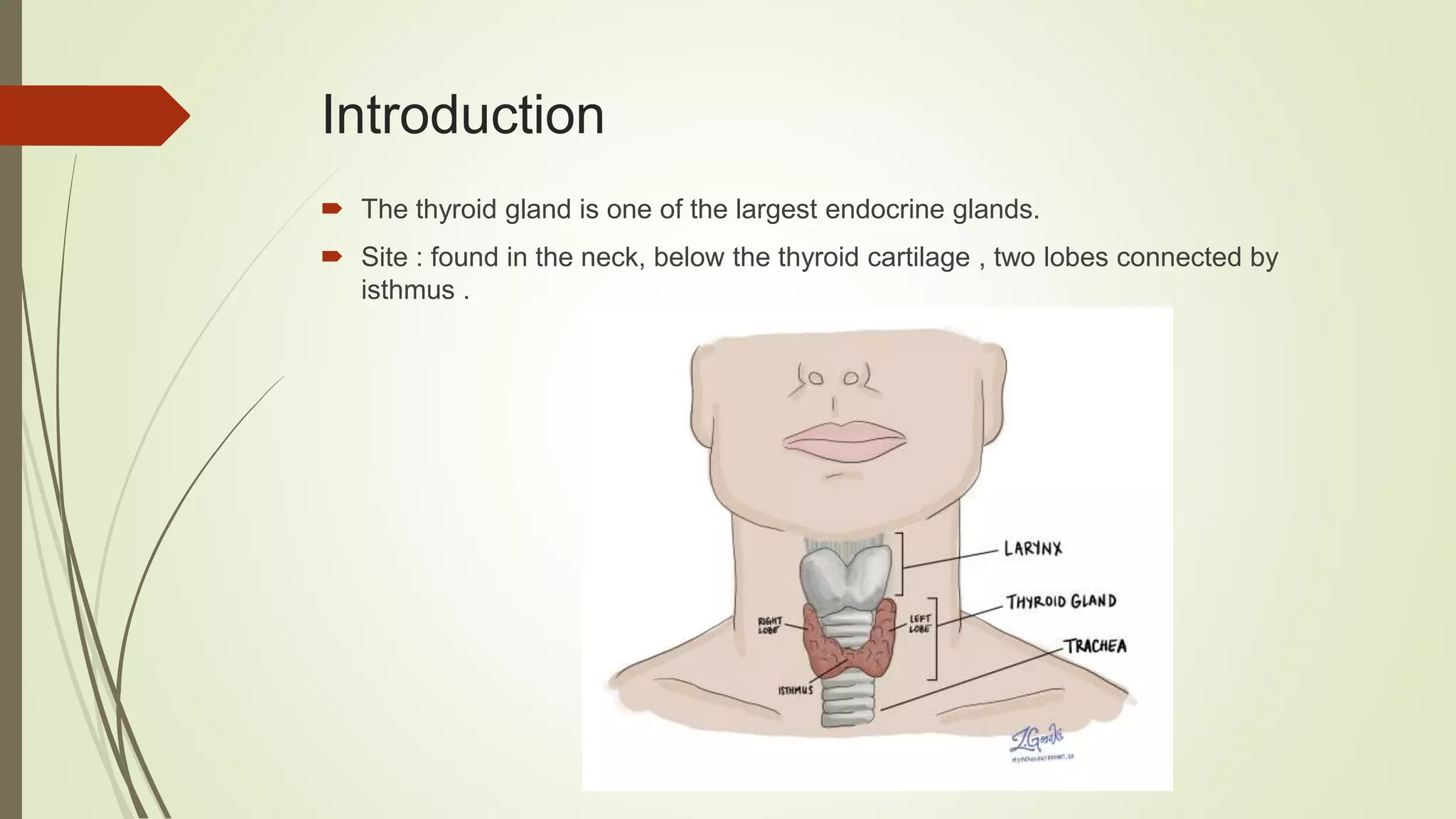 Thyroid Ppt 0285