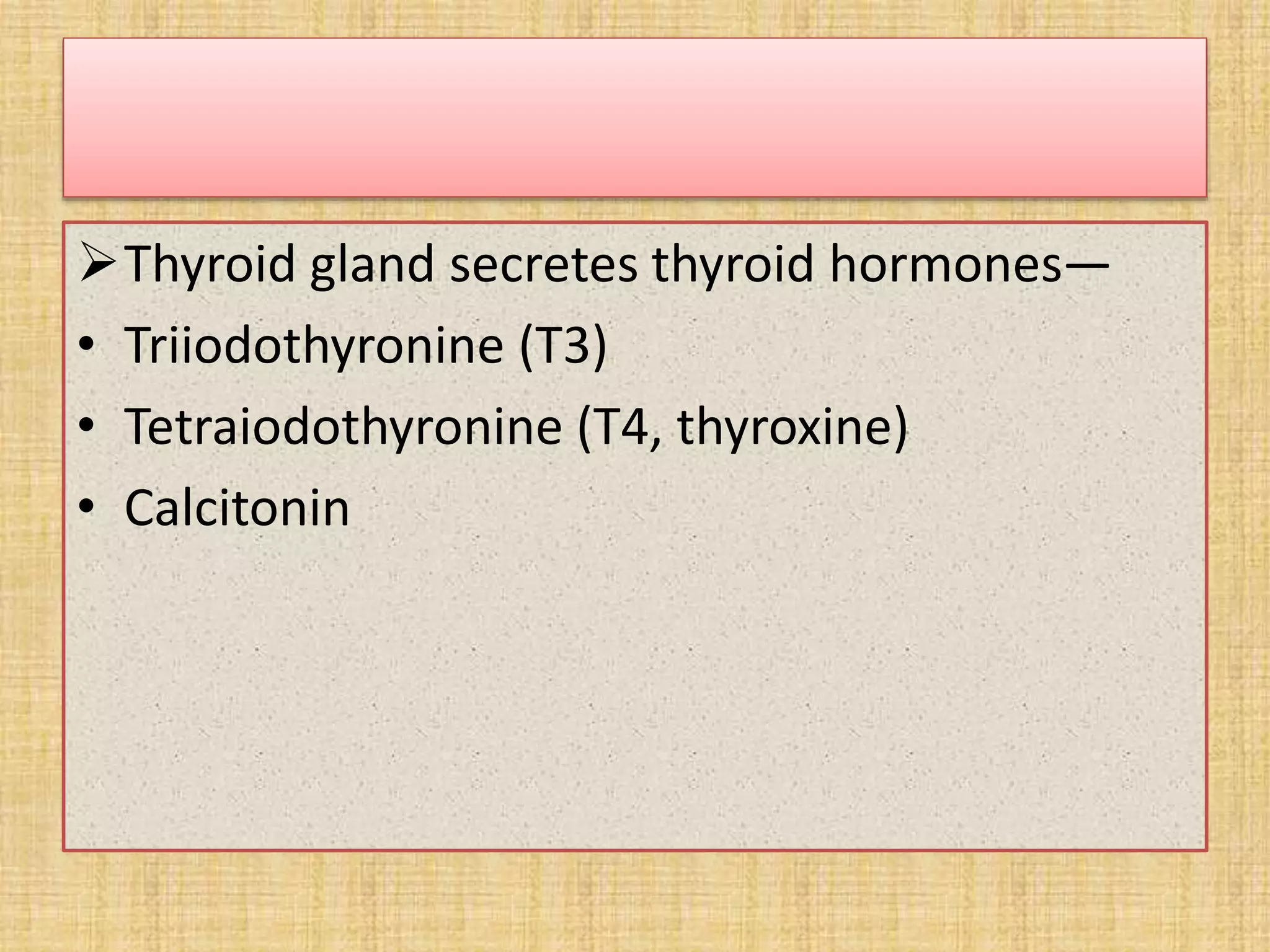 Thyroid | PPTX | Thyroid Disorders | Endocrine and Metabolic Diseases