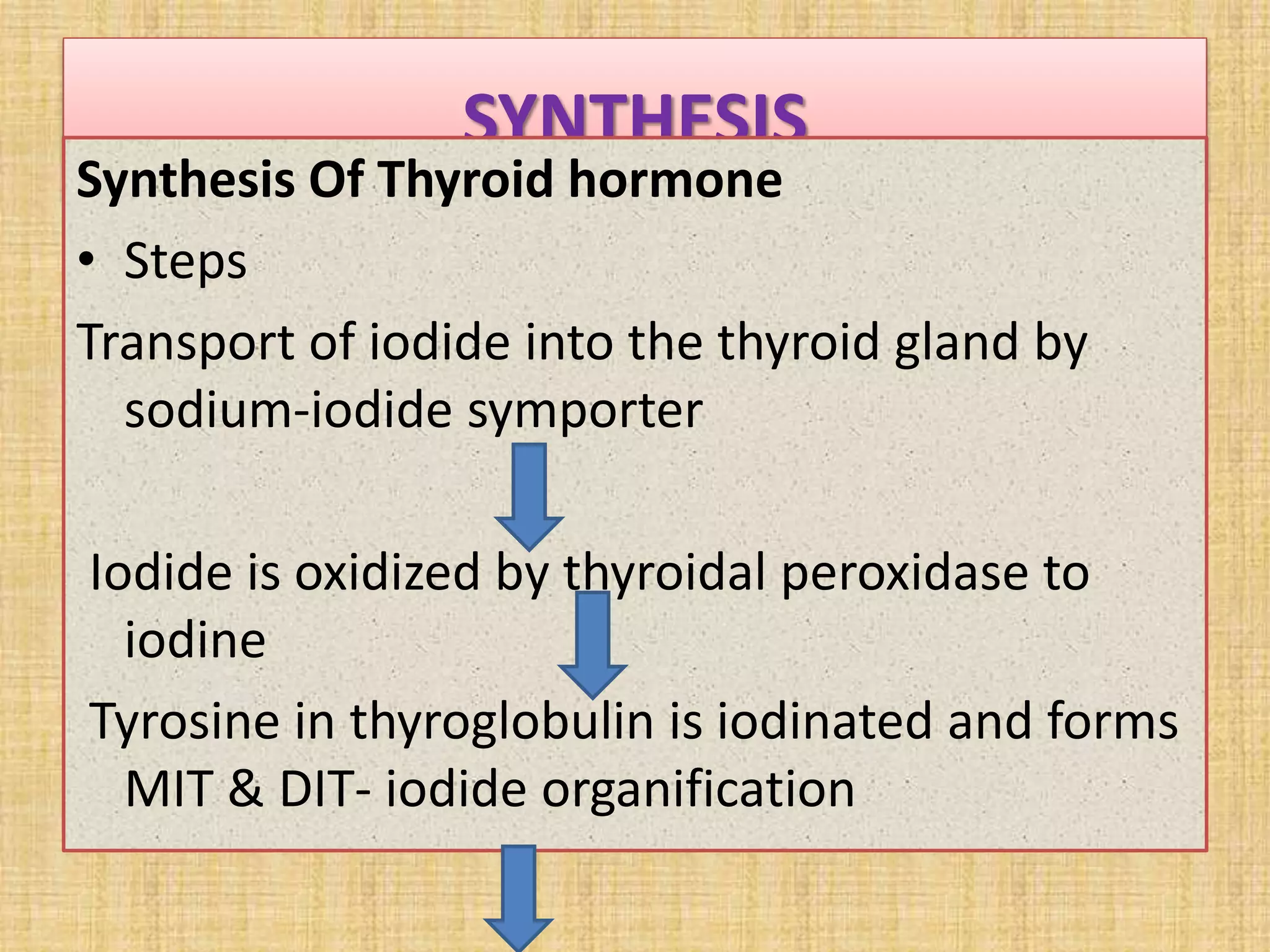 Thyroid | PPTX | Thyroid Disorders | Endocrine and Metabolic Diseases