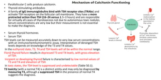 thyroid baileys and love | PPTX
