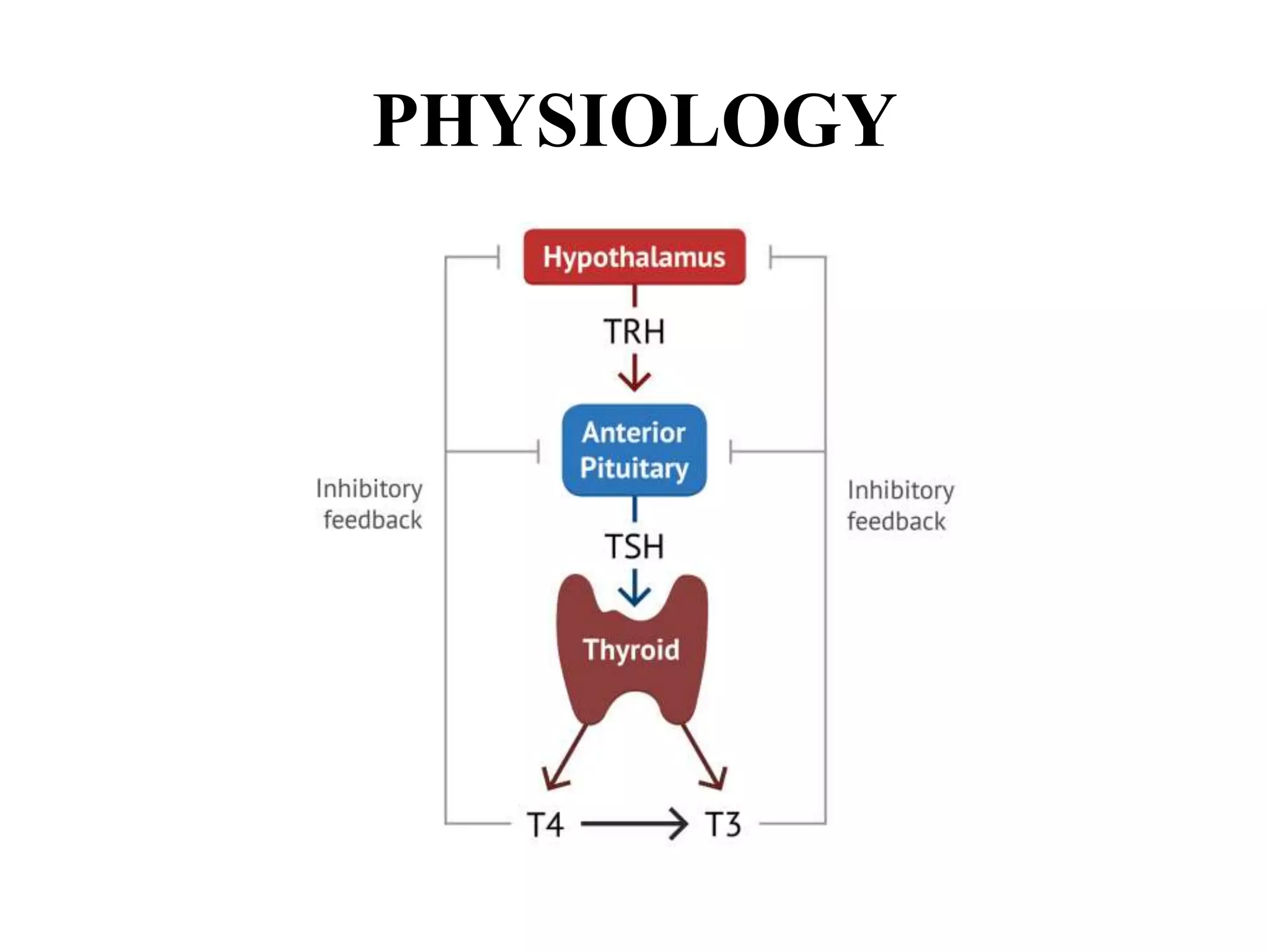 Thyroid Cytology Pptx Pptx