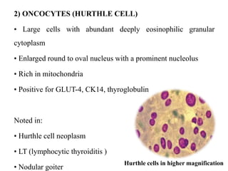 THYROID - cytology pptx | PPTX