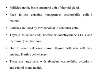 THYROID - cytology pptx | PPTX