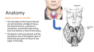 Thyroid.pptx | Thyroid Disorders | Endocrine and Metabolic Diseases