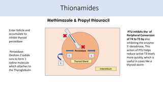 Thyroid disorders and their management, hypothyroidism ...