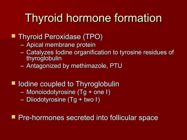 Thyroid Benign Slides Ppt
