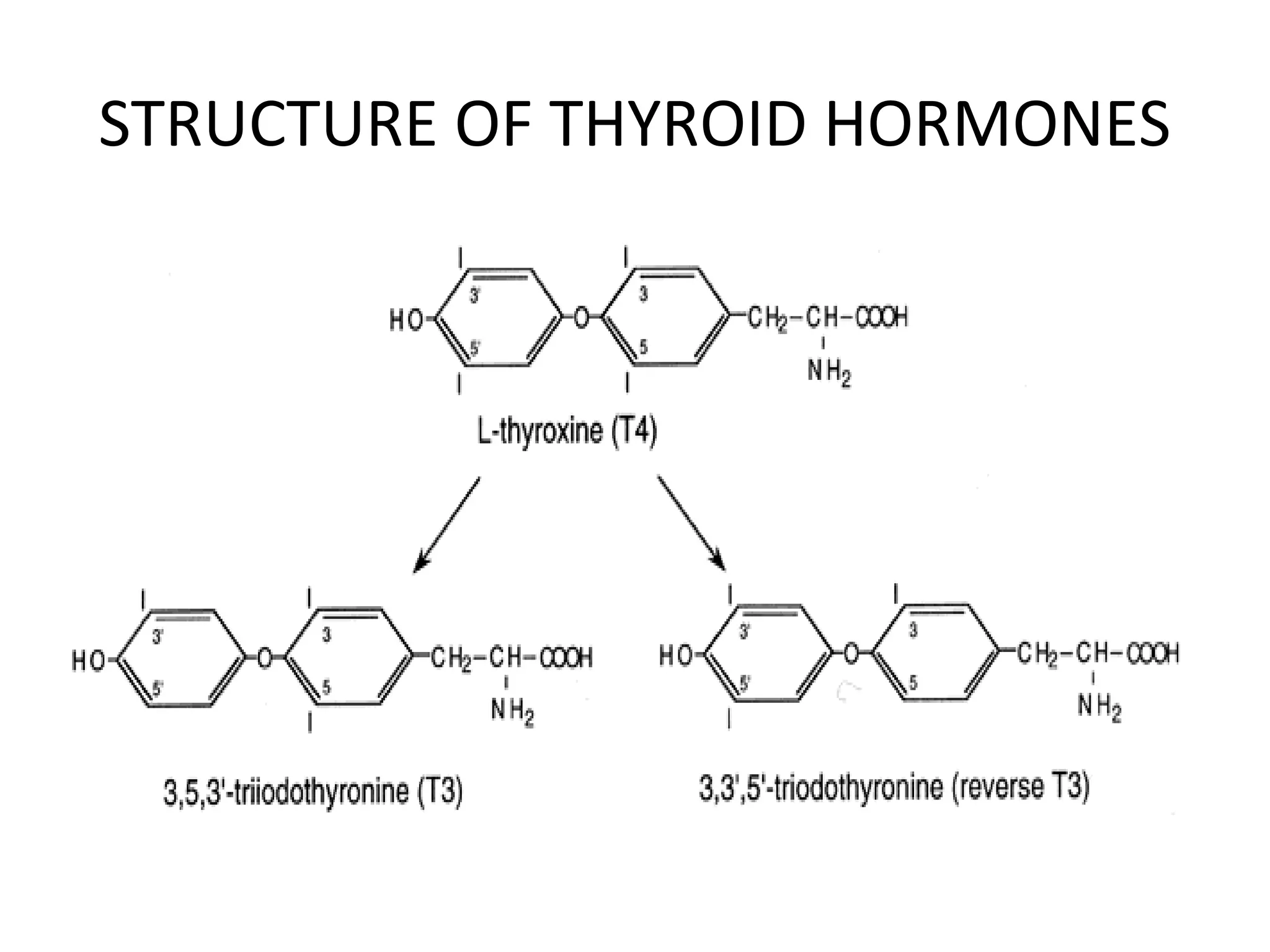 Thyroid functions and disorders presentation | PPT
