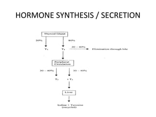 Thyroid Hormones Chart