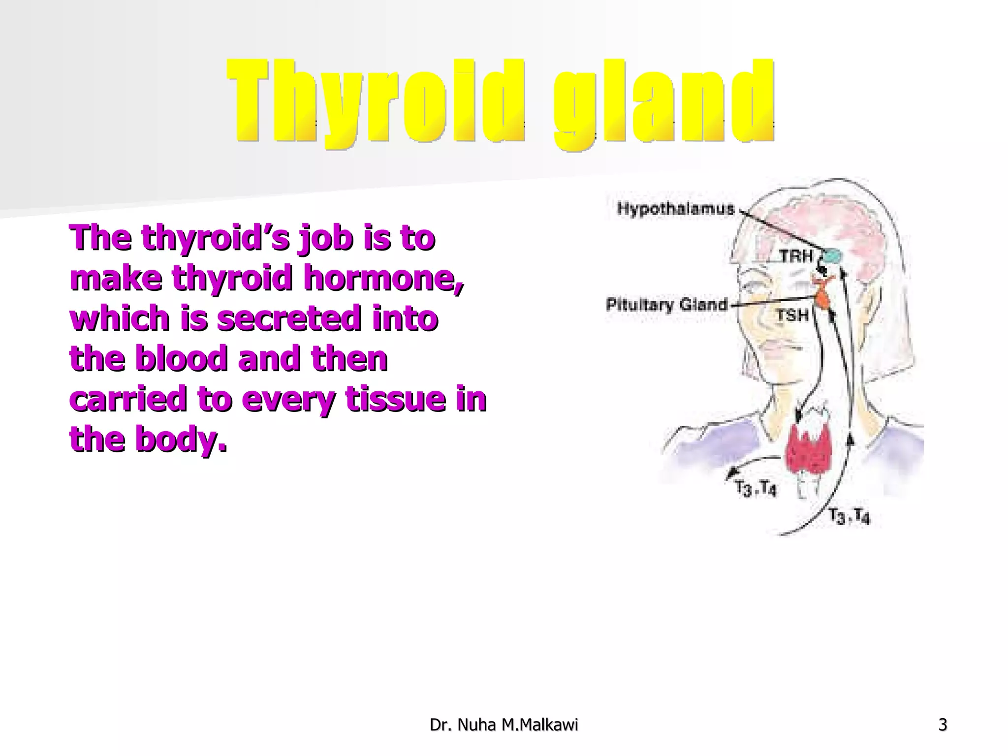 Thyroid Gland | PPS