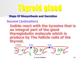 Thyroid Gland | PPS