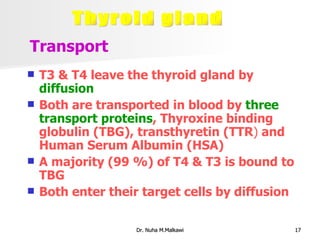 Thyroid Gland | PPS