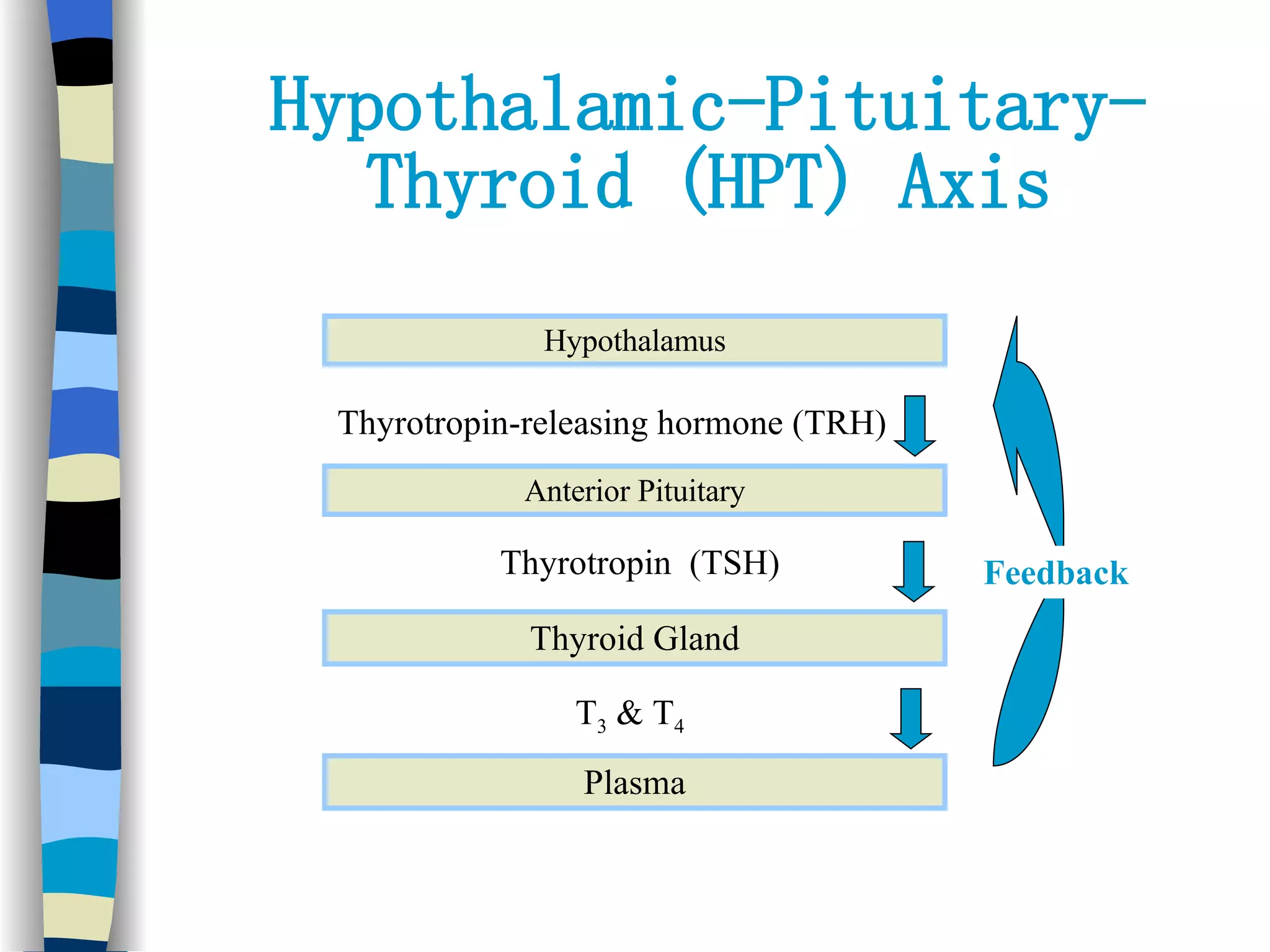 Thyroid Hormones and Their Interactions with Immune System in Birds | PPT