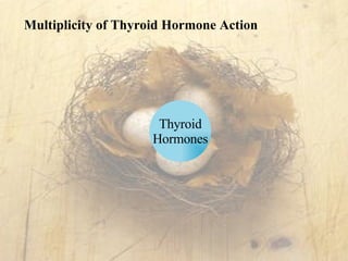 Thyroid Hormones and Their Interactions with Immune System in Birds | PPT