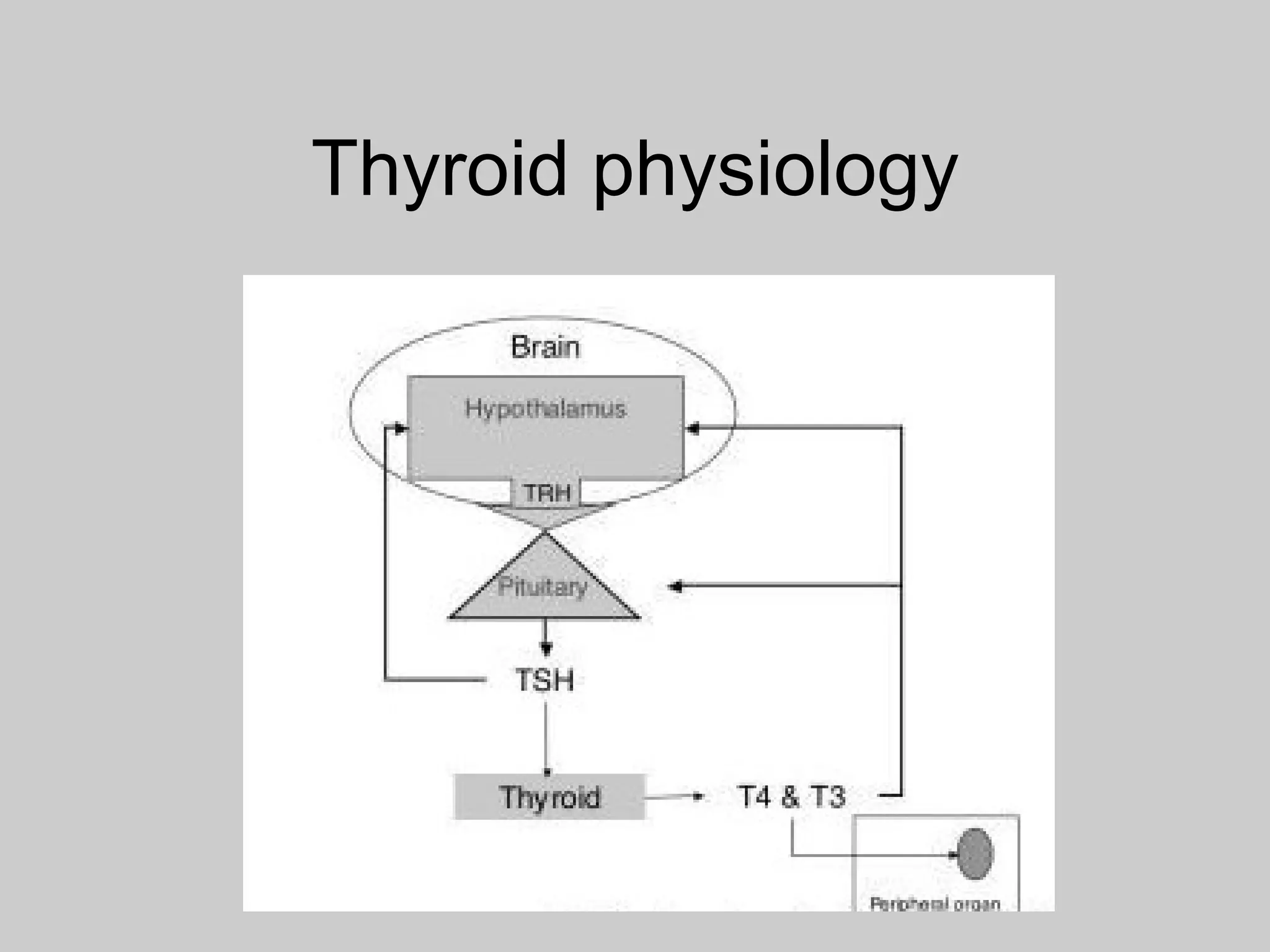 Thyroid Overview | PPT