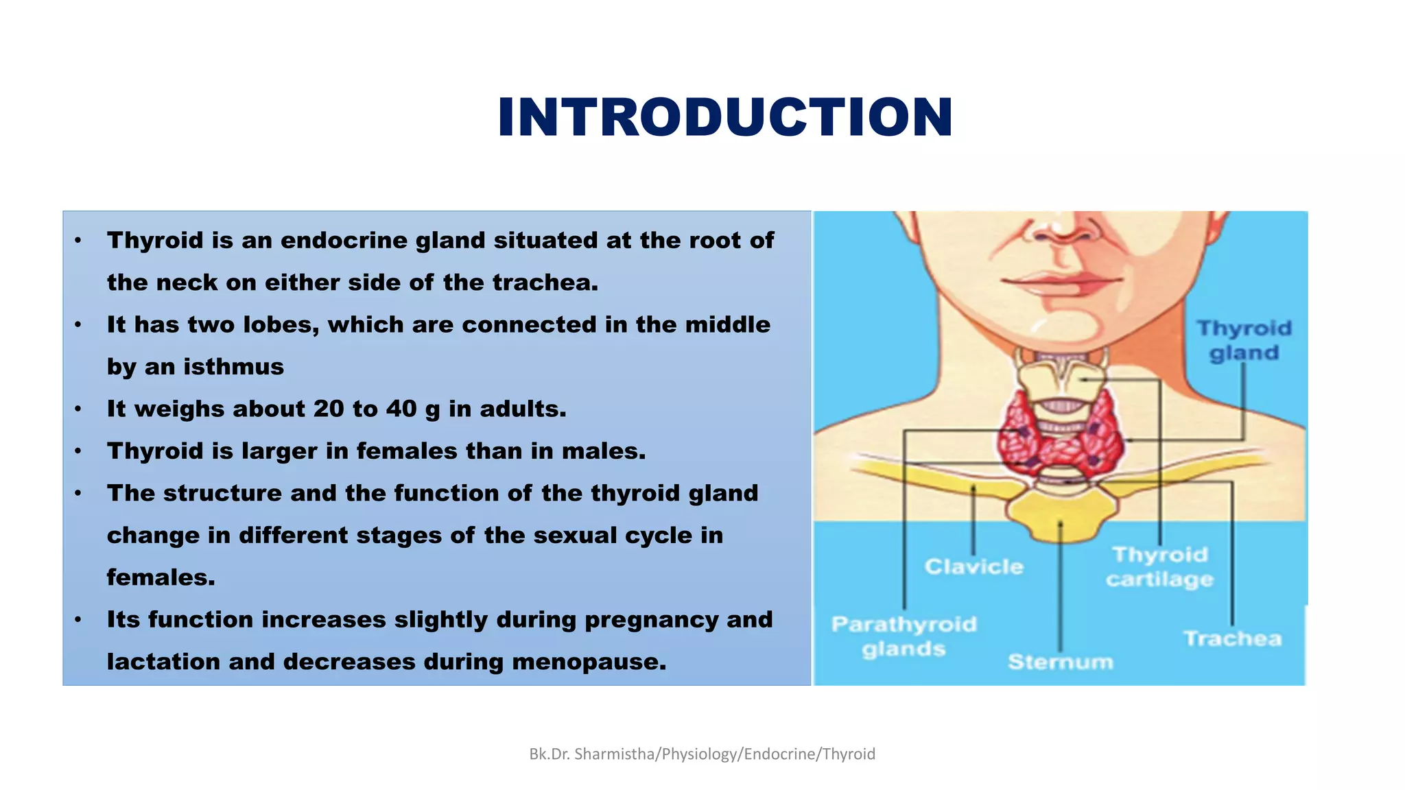 Thyroid pdf | PDF