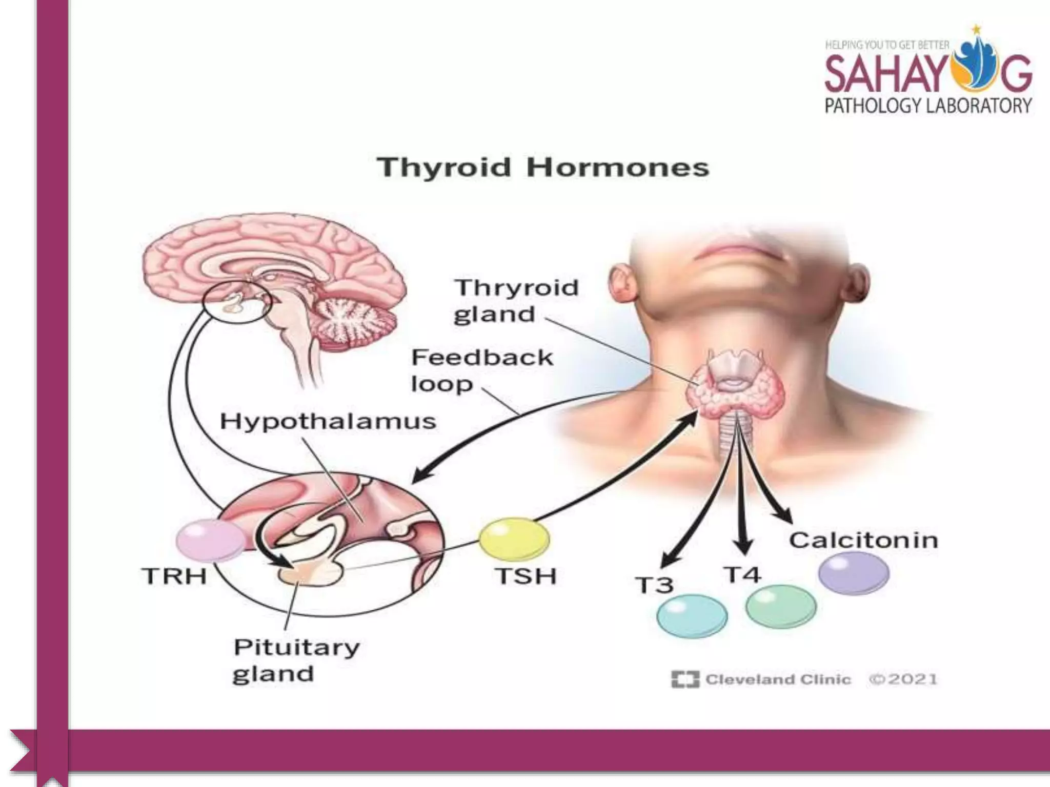THYROID.pptx