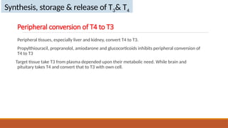 Thyroid hormone synthesis and antithyroid drugs | PPTX