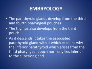 Thyroid anatomy and physiology | PPTX