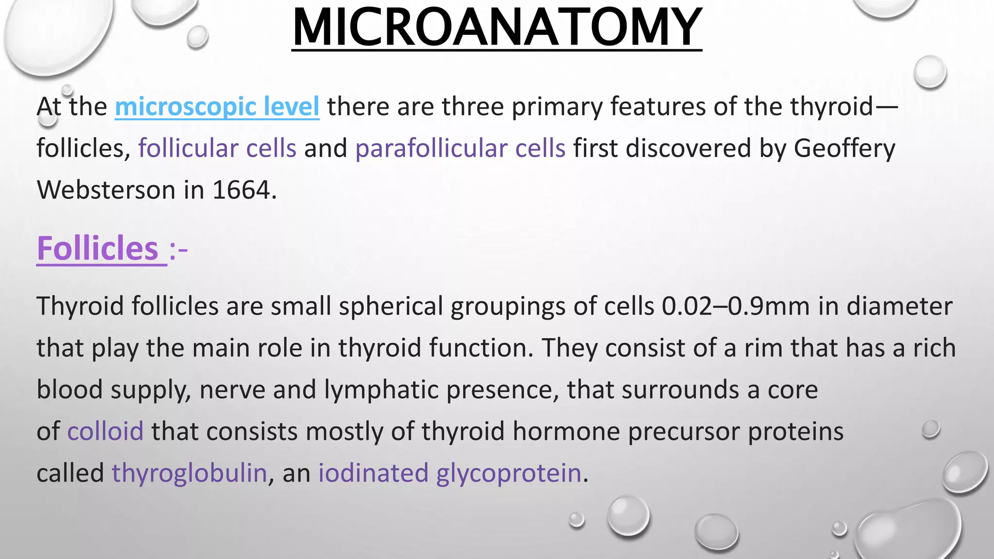 Thyroid gland :- structure and function | PPTX
