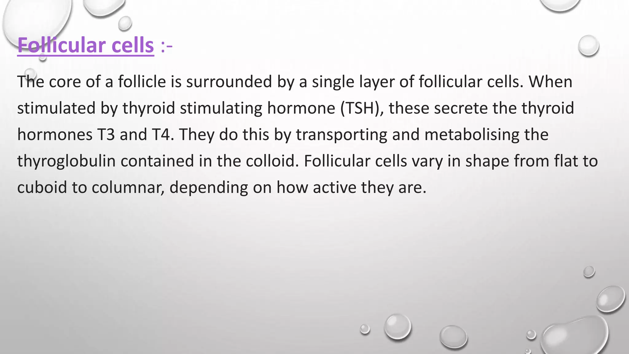 Thyroid gland :- structure and function | PPTX