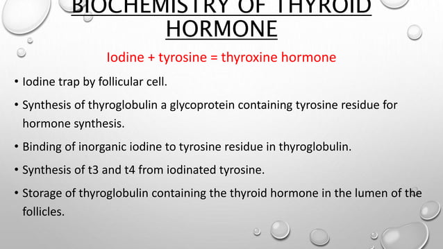 Thyroid gland :- structure and function | PPTX