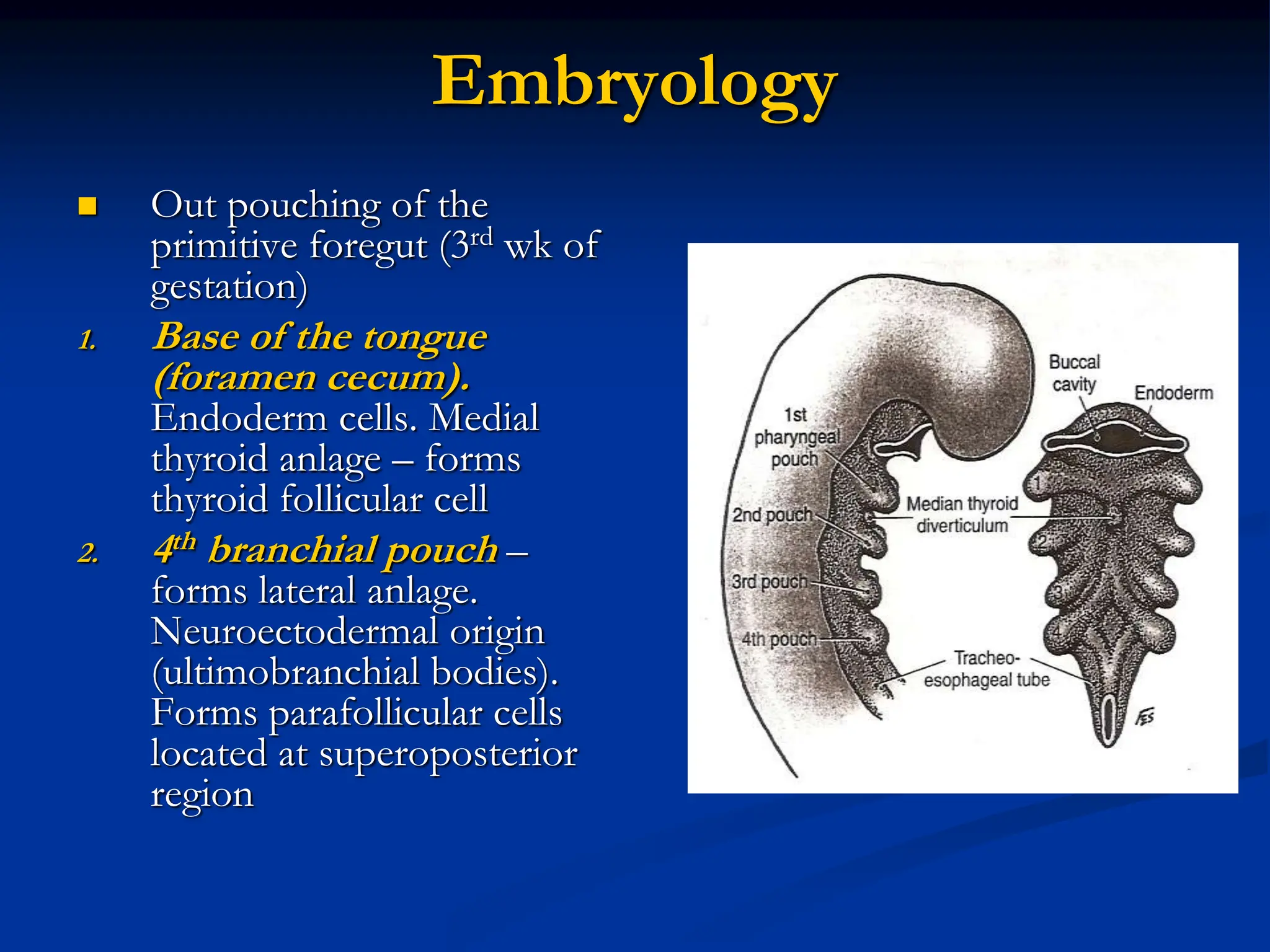 General surgery thyroid disorders lecture .pptx