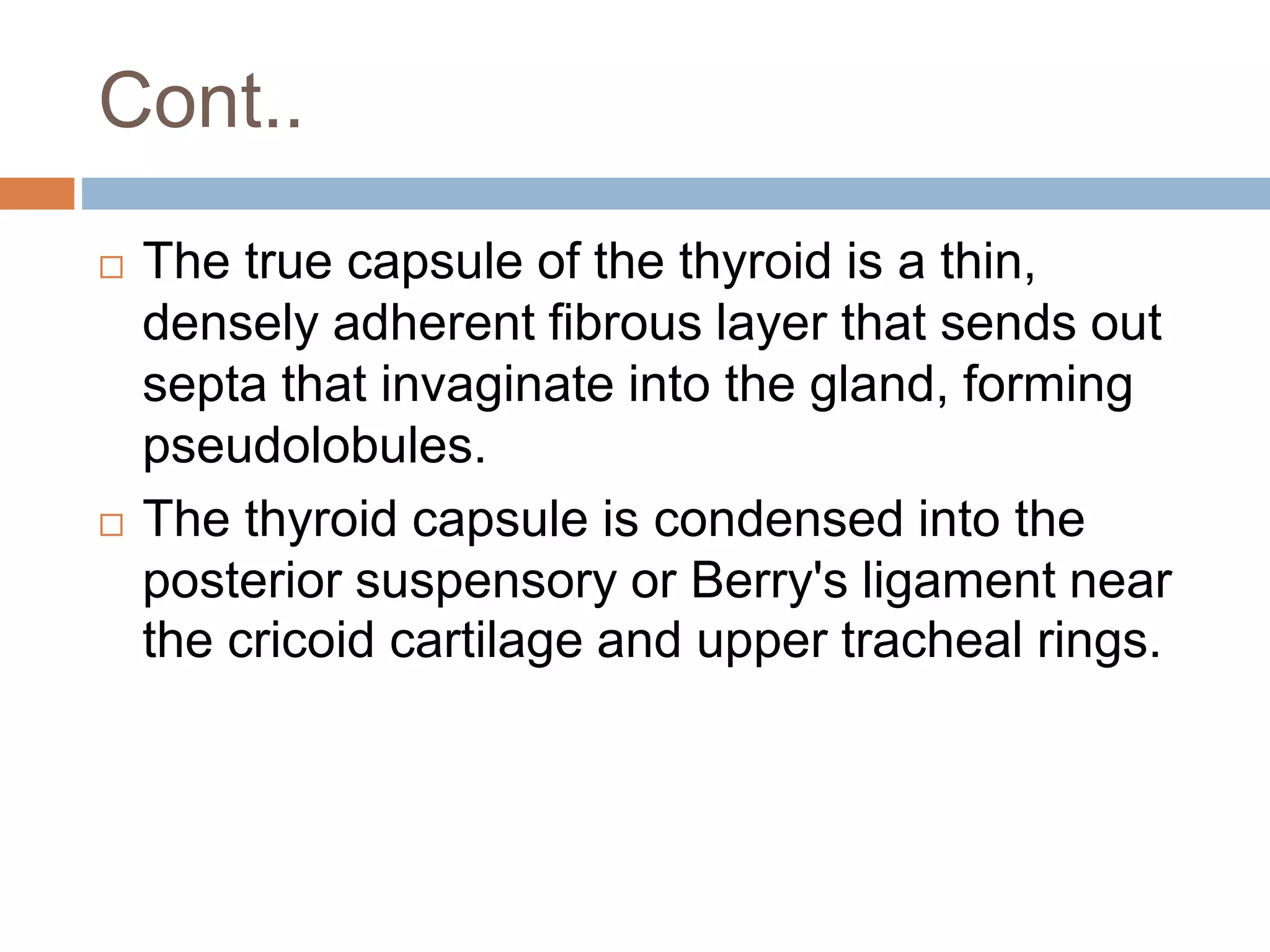 Surgical Thyroid anatomy | PPTX