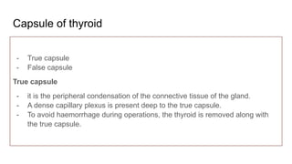 Thyroid anatomy power point presentation | PPTX