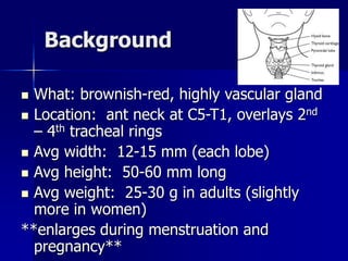 Thyroid Anatomy.ppt