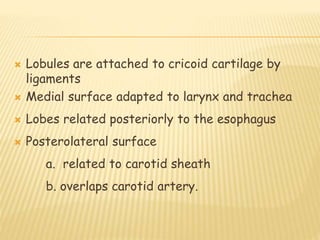Thyroid anatomy and pathology | PPTX