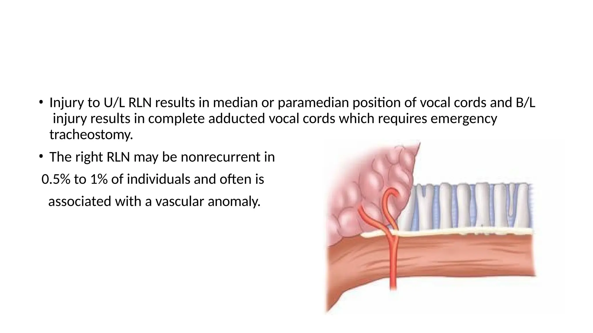 thyroid anatomy and physiology ppt .pptx