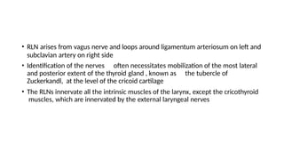thyroid anatomy and physiology ppt .pptx