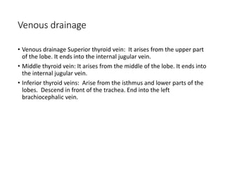 thyroid anatomy copy.pptx