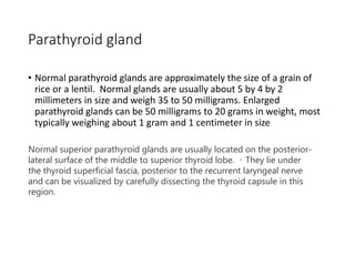 thyroid anatomy copy.pptx | Thyroid Disorders | Endocrine and Metabolic ...