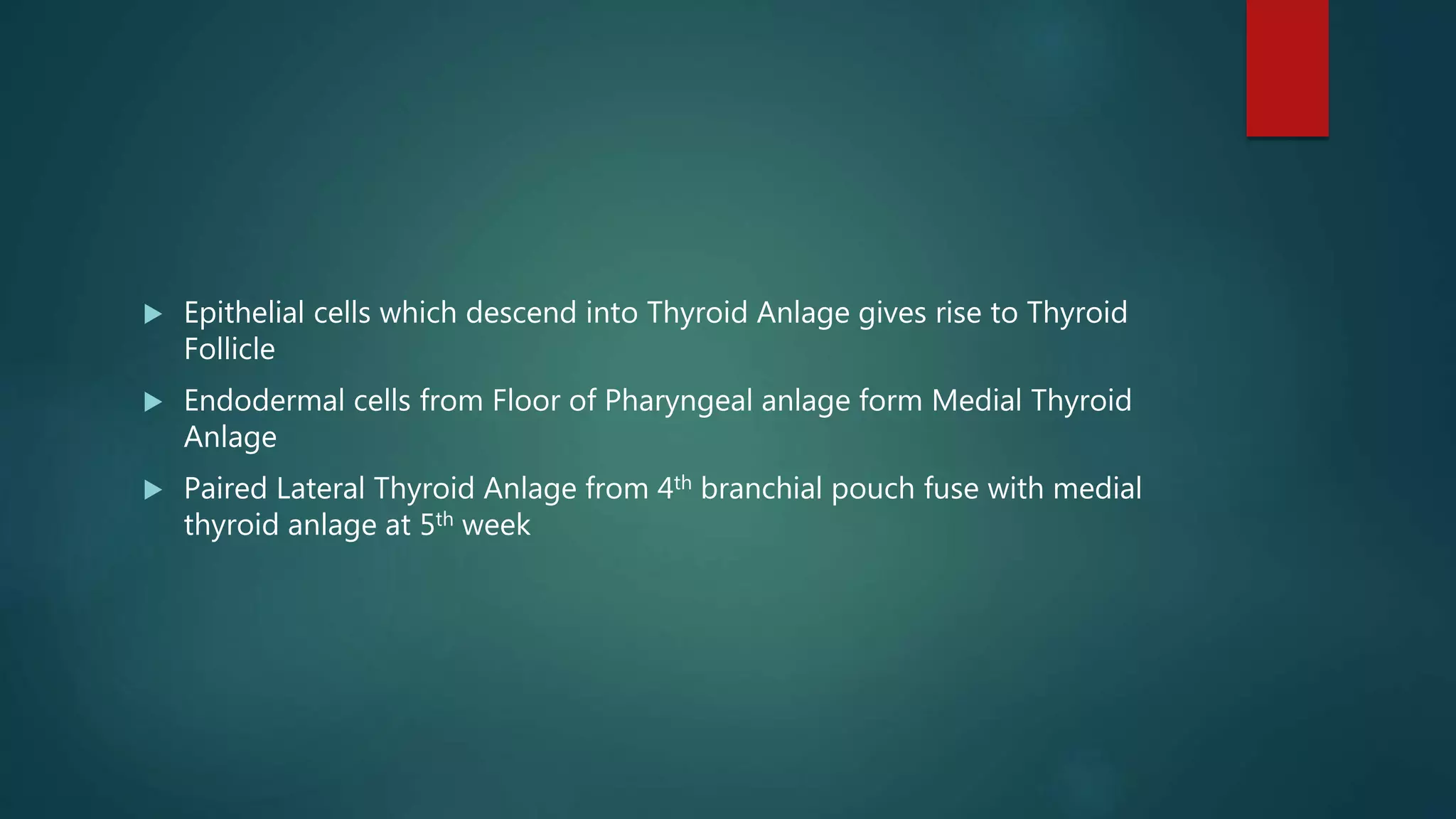 Thyroid Anatomy and embryology Simplified | PPTX